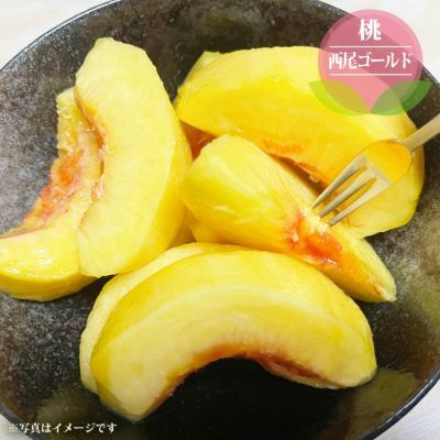 果樹全種一覧 | 苗木部 本店 By 花ひろばオンライン 果樹全種一覧 | 苗木部 本店 By 花ひろばオンライン